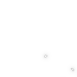 Windy: Wind map & weather forecast